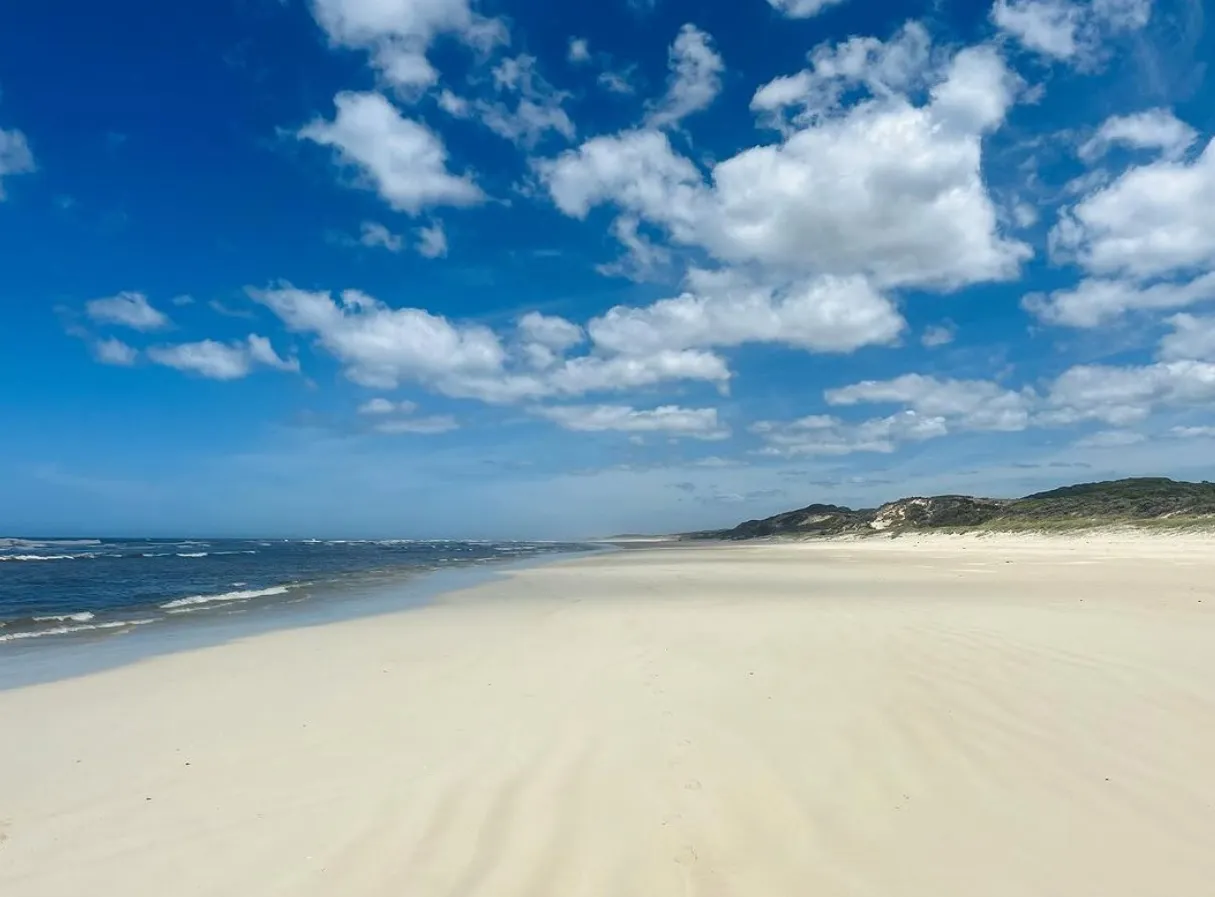 Discovery Bay Coastal Park - qualityhotelbathurst.com.au